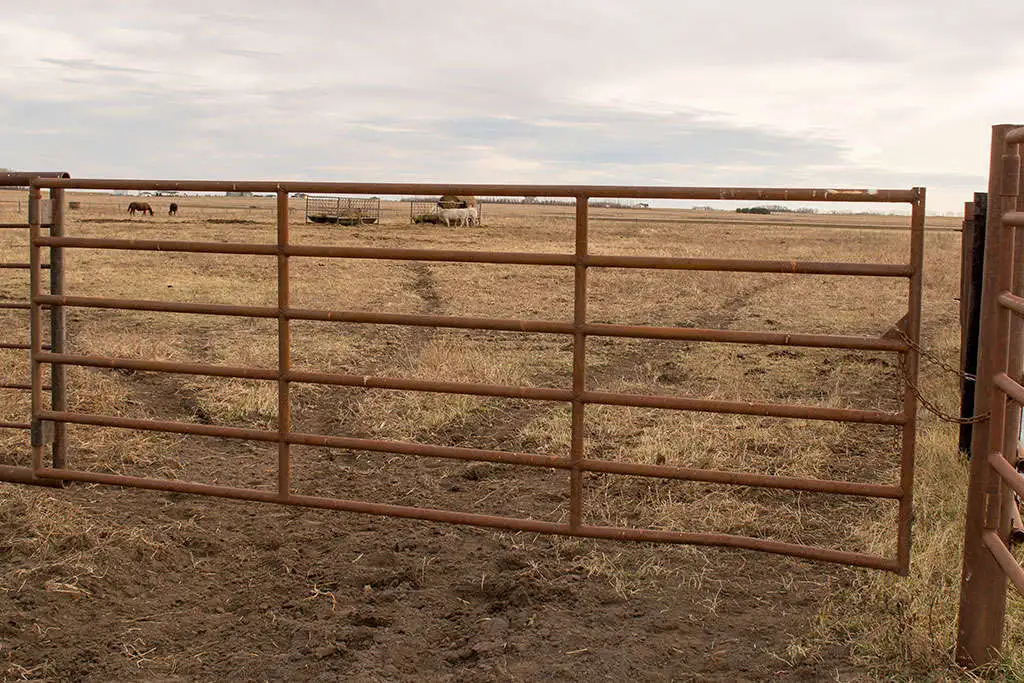 Gates & Panels | Norheim Equipment Co | Durable Livestock Fencing